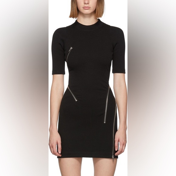 Alexander Wang | Dresses | The Infamous Alexander Wang Traveling Zipper ...